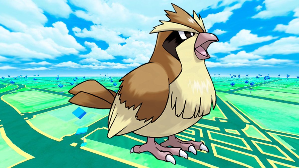 O próximo Pokemon GO Spotlight Hour apresenta Pidgey em 7 de fevereiro ...