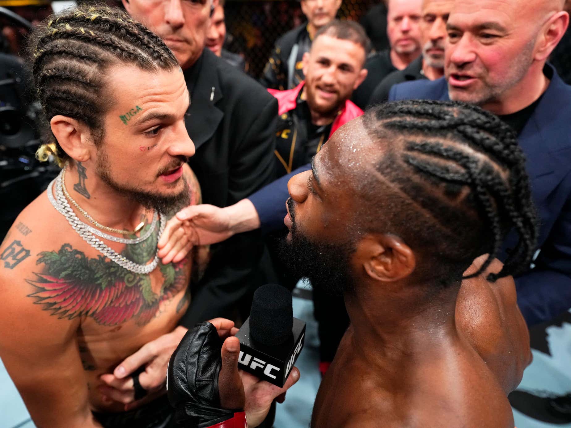 Aljamain Sterling desafia Sean O'Malley na frente dos fãs do Fortnite ...